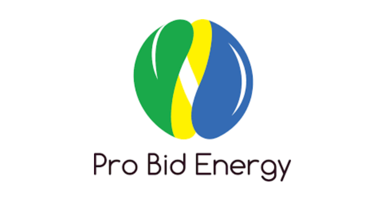 Pro Bid Energy review 2026 - Services and Price | Location | Pros and Cons