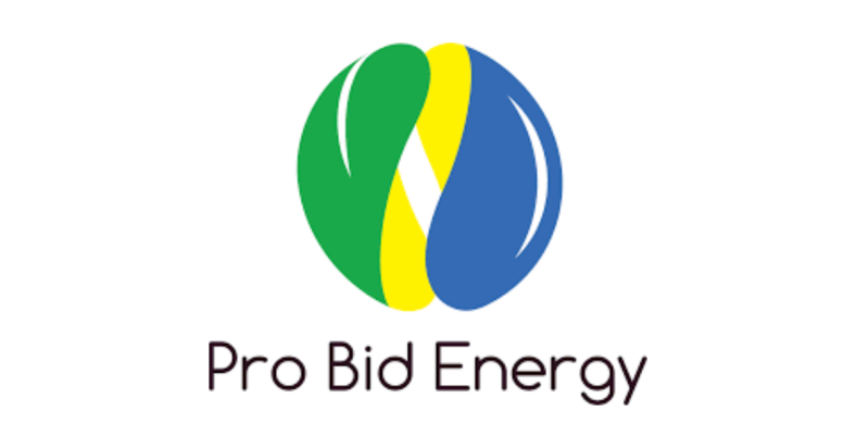 Pro Bid Energy review 2026 - Services and Price | Location | Pros and Cons
