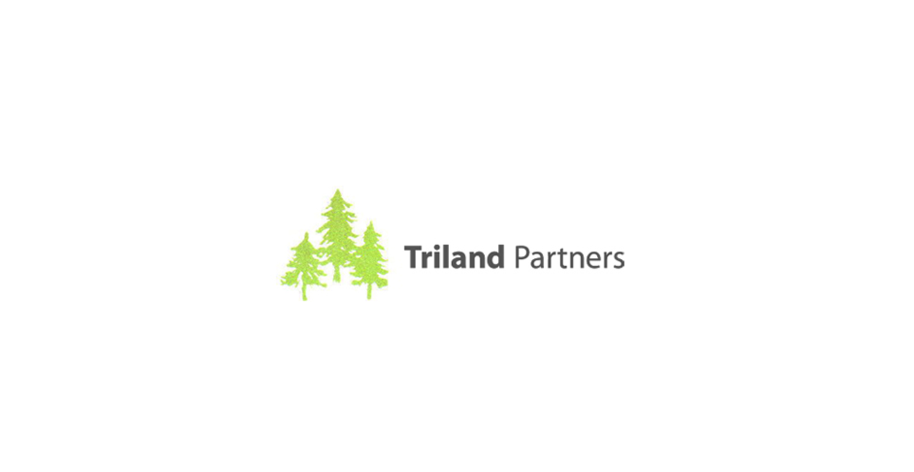 Triland Partners review 2026 - Services and Price | Location | Pros and ...